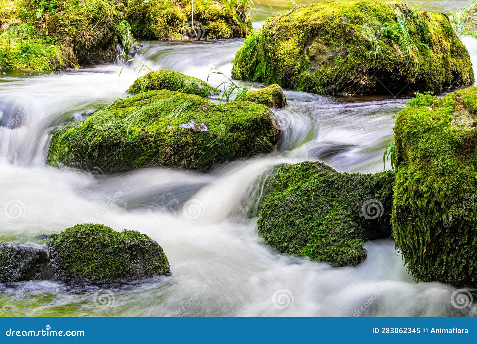 Mountain Stream Waterfall in the Forest Wallpaper Stock Image - Image ...