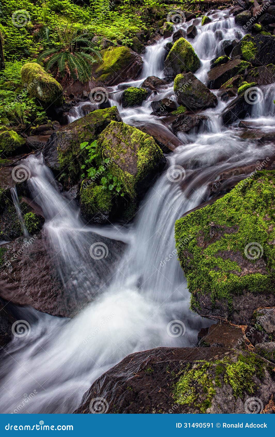 Mountain Stream and Waterfall Stock Image - Image of natural, waterfall ...