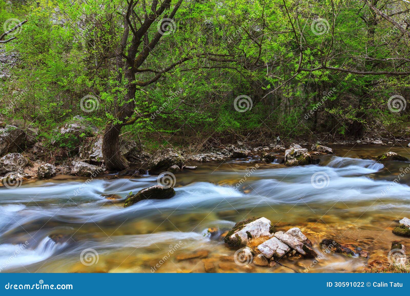 Mountain Stream and Waterfalls in the Forest in Spring Stock Photo ...