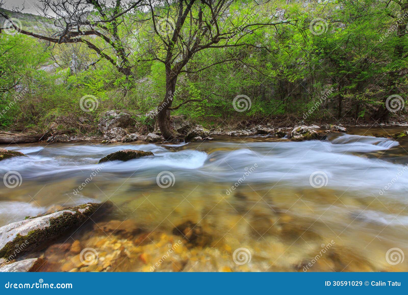 Mountain Stream and Waterfalls in the Forest in Spring Stock Image ...
