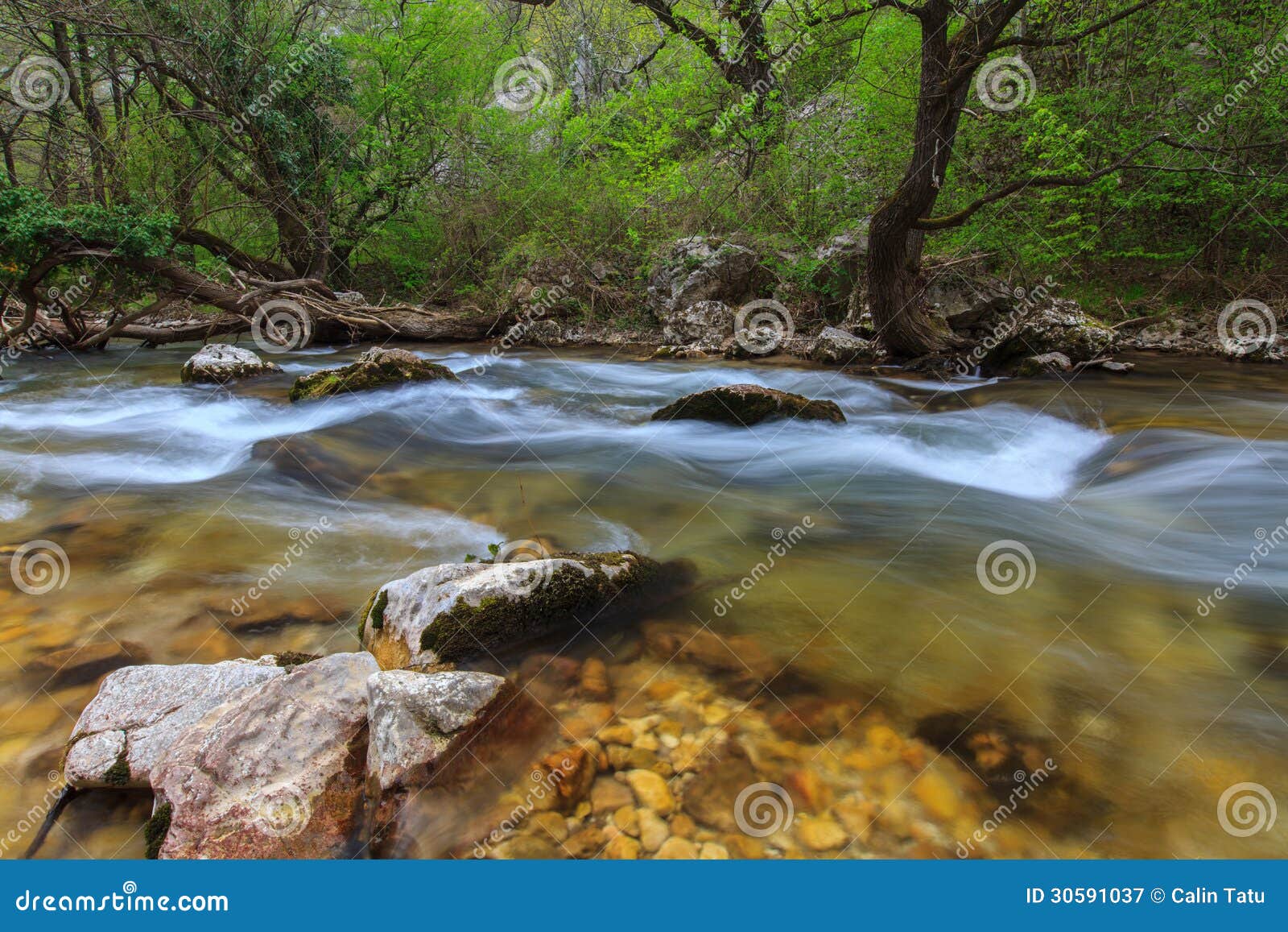 Mountain Stream and Waterfalls in the Forest in Spring Stock Image ...