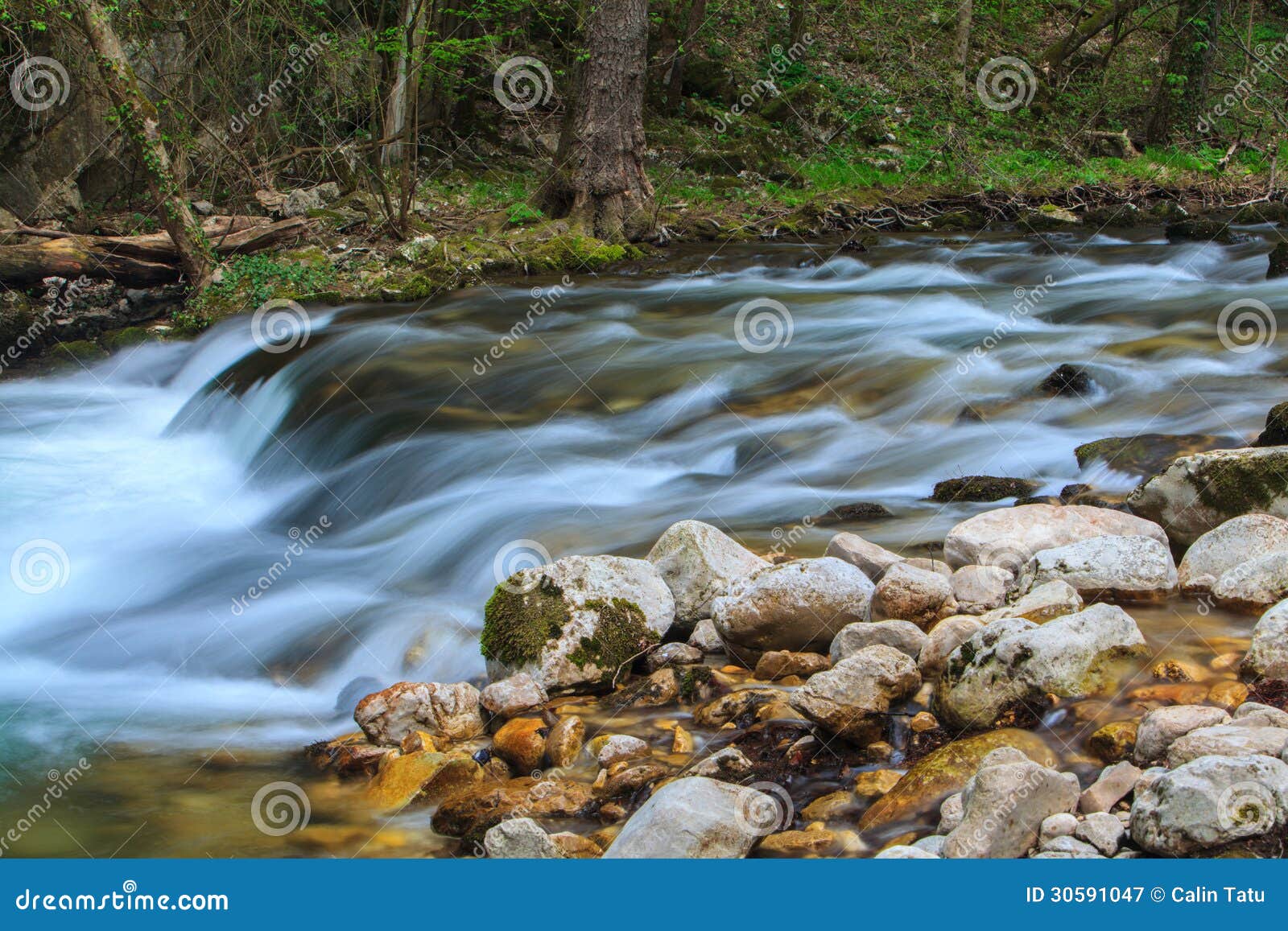 Mountain Stream and Waterfalls in the Forest in Spring Stock Image ...