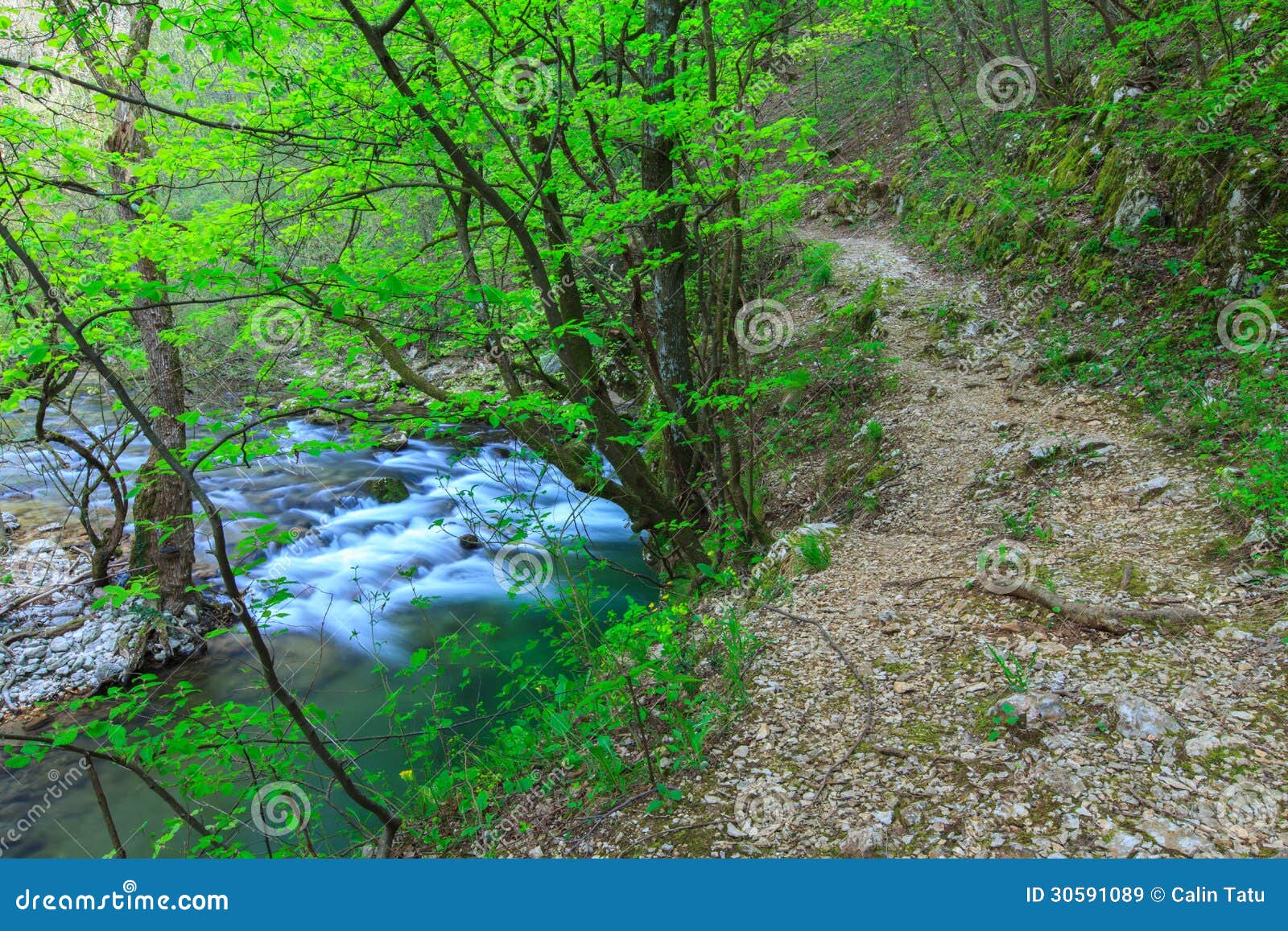 Mountain Stream and Waterfalls in the Forest in Spring Stock Image ...