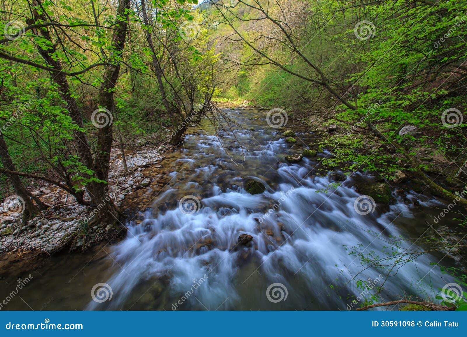 Mountain Stream and Waterfalls in the Forest in Spring Stock Photo ...