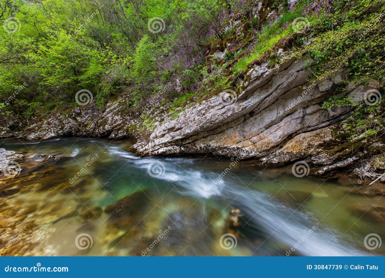 Mountain Stream and Waterfalls in the Forest in Spring Stock Image ...