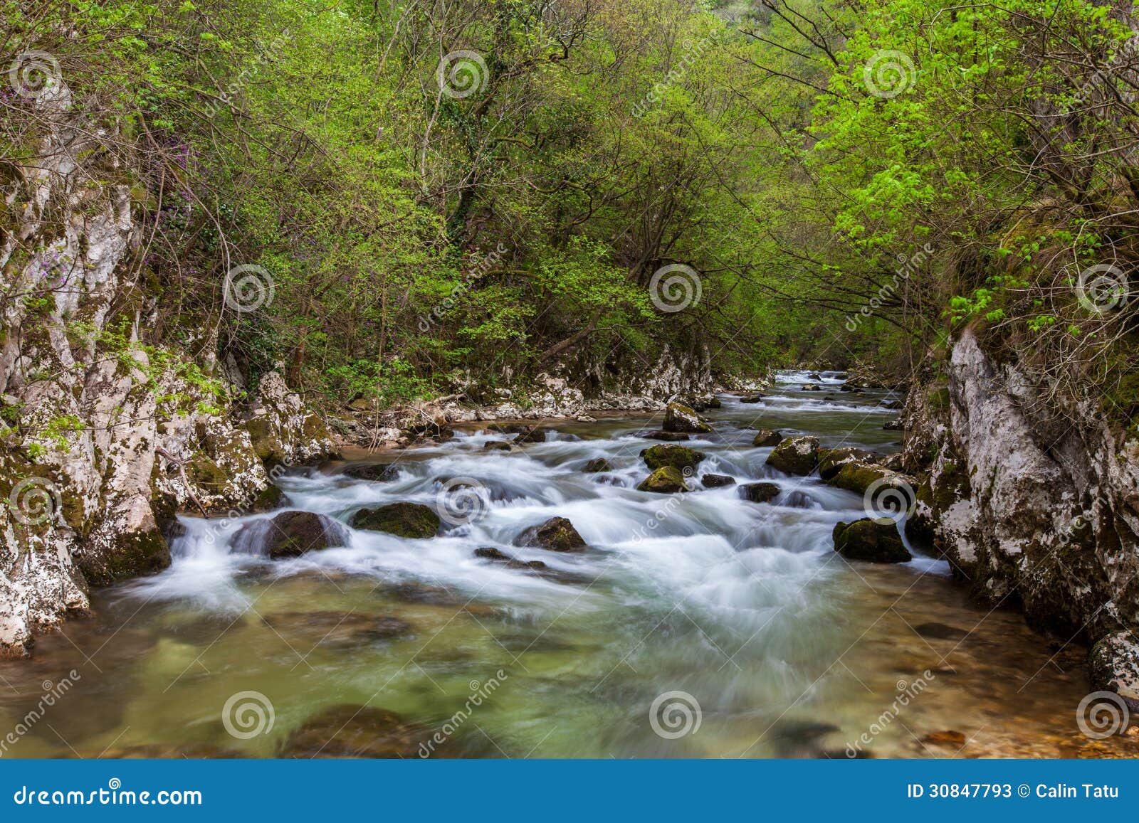 Mountain Stream and Waterfalls in the Forest in Spring Stock Image ...