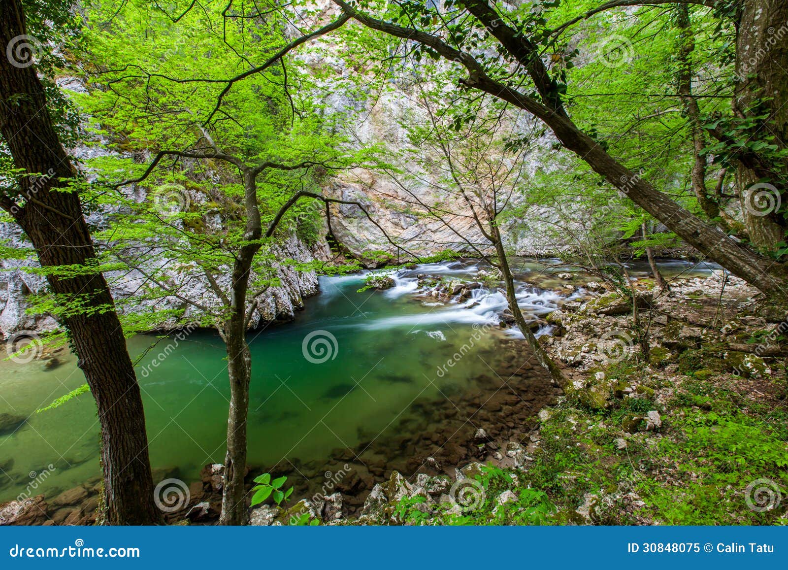 Mountain Stream and Waterfalls in the Forest in Spring Stock Image ...