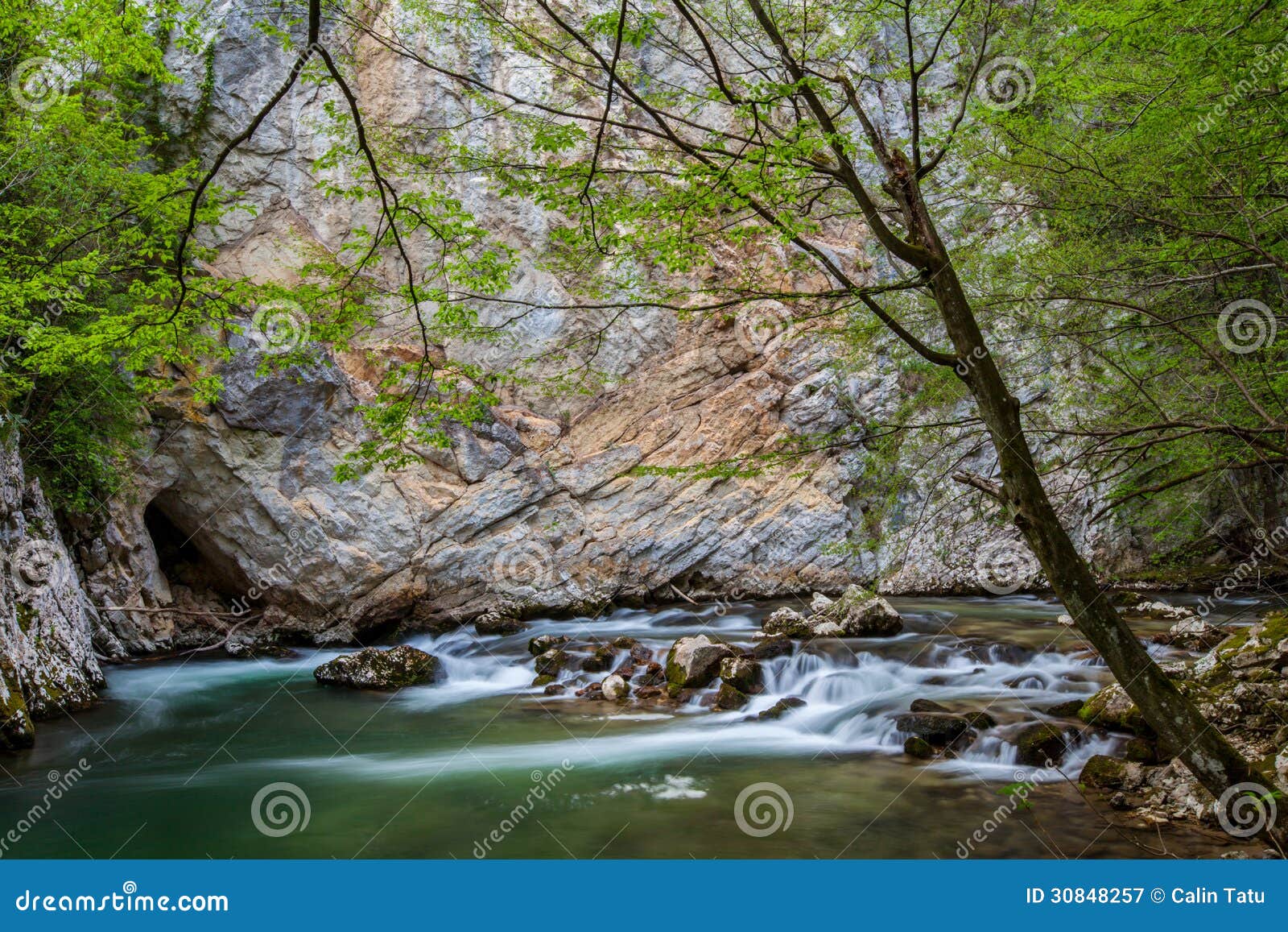 Mountain Stream and Waterfalls in the Forest in Spring Stock Image ...