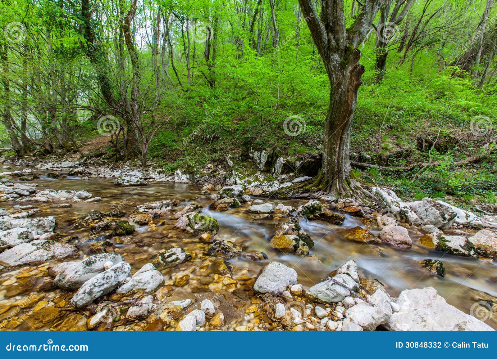 Mountain Stream and Waterfalls in the Forest in Spring Stock Photo ...