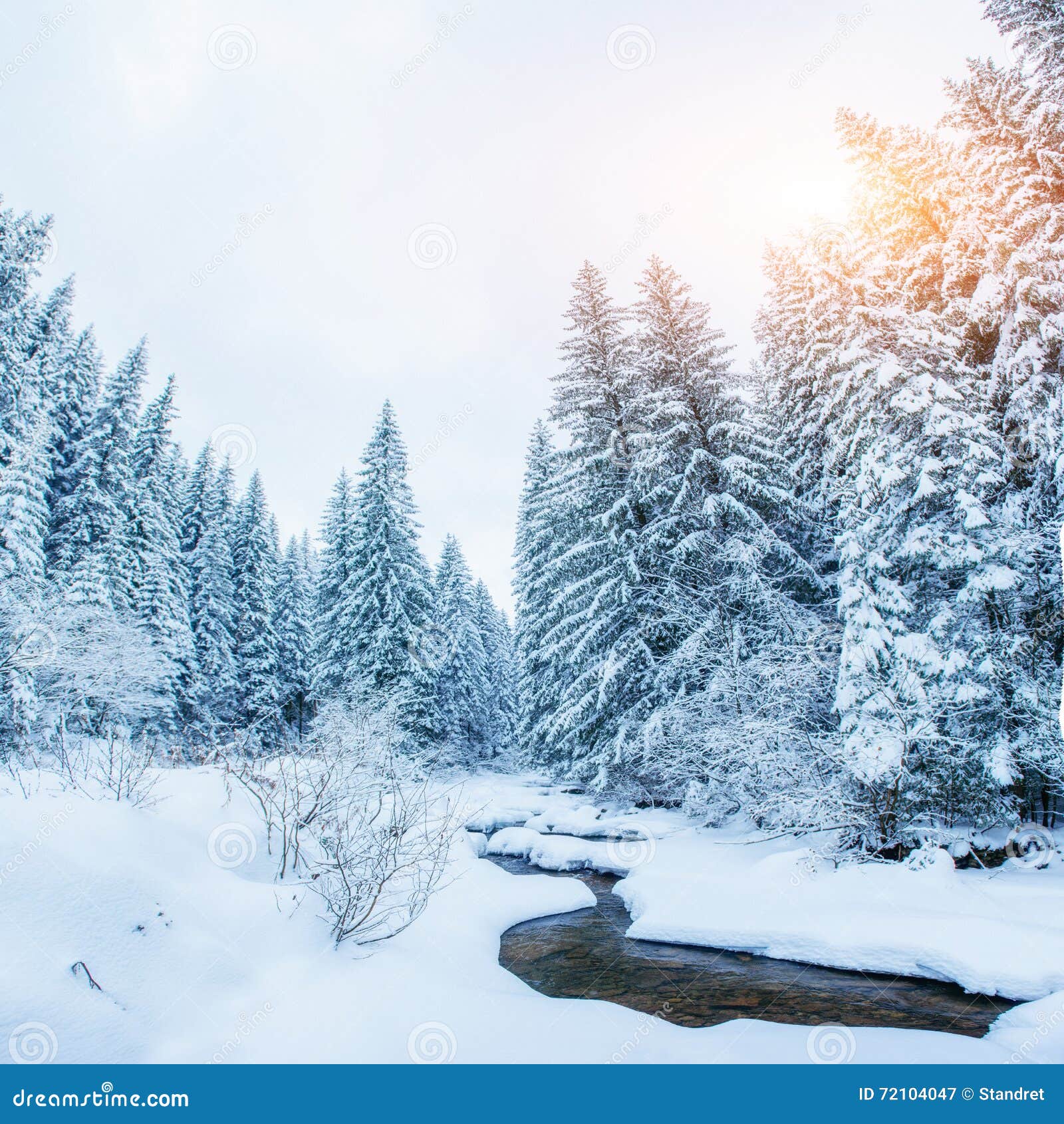 Mountain stream in winter stock image. Image of tourism - 72104047
