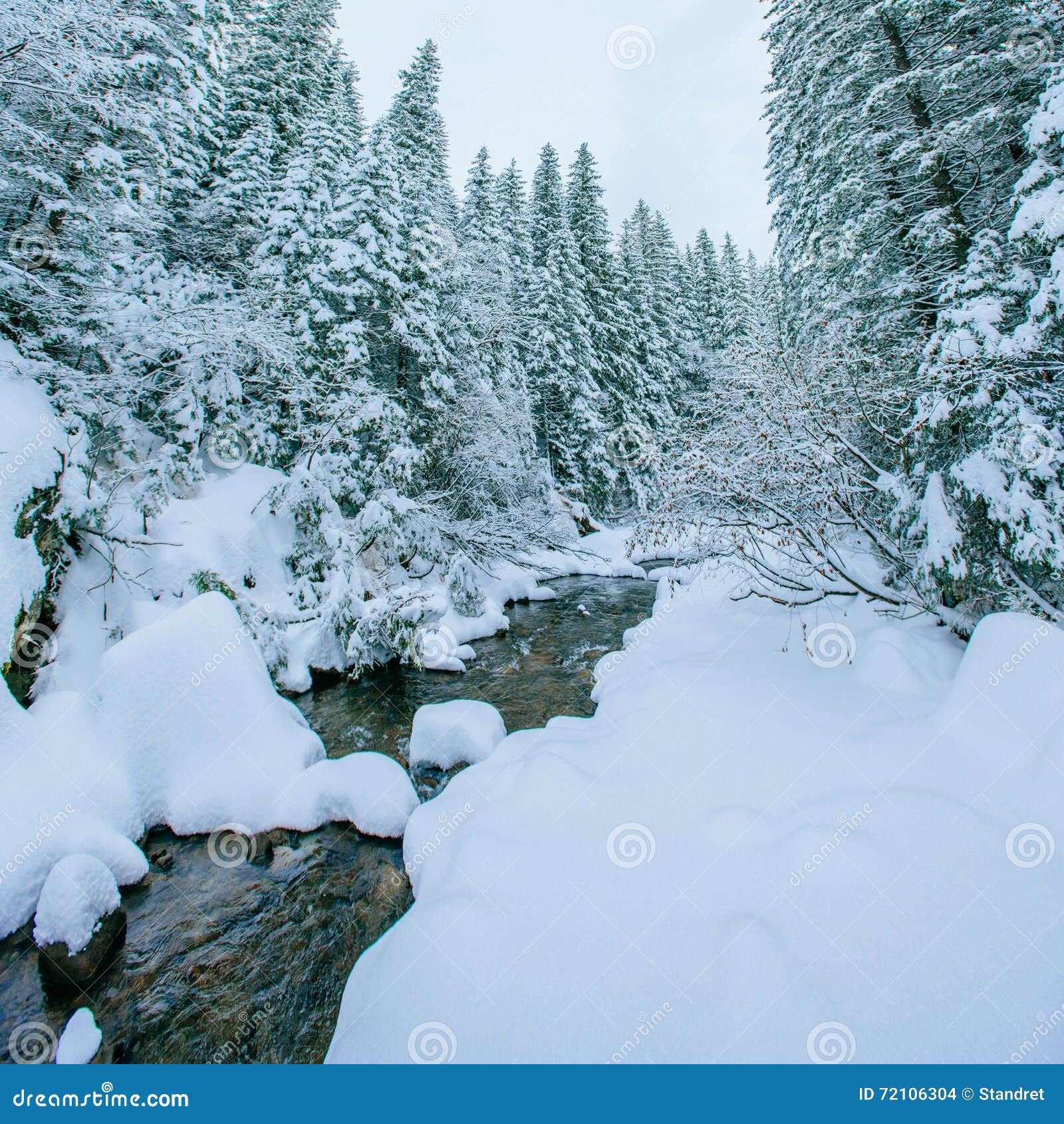 Mountain stream in winter stock photo. Image of water - 72106304
