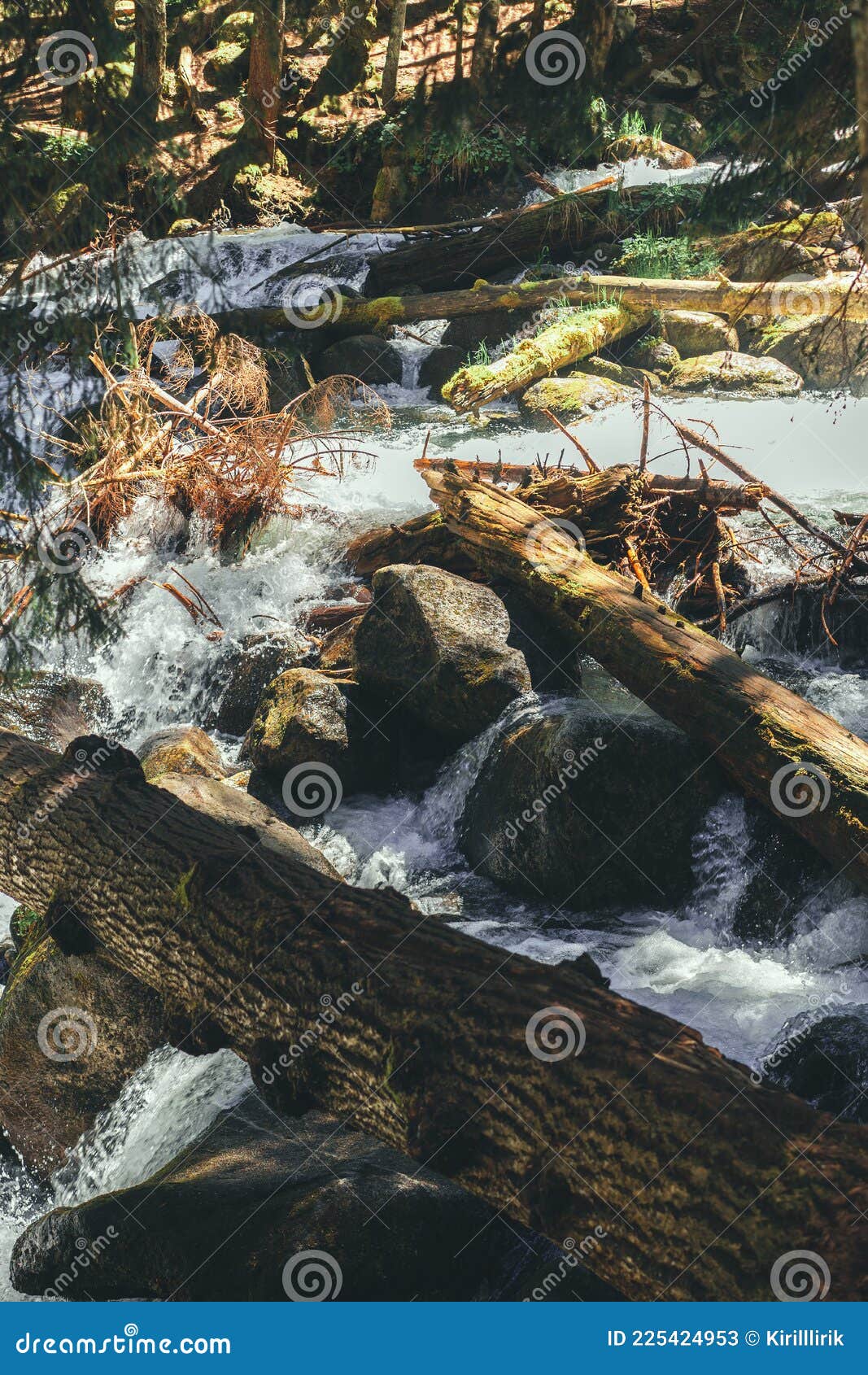 Mountain Stream in the Woods at Spring Stock Image - Image of nature ...