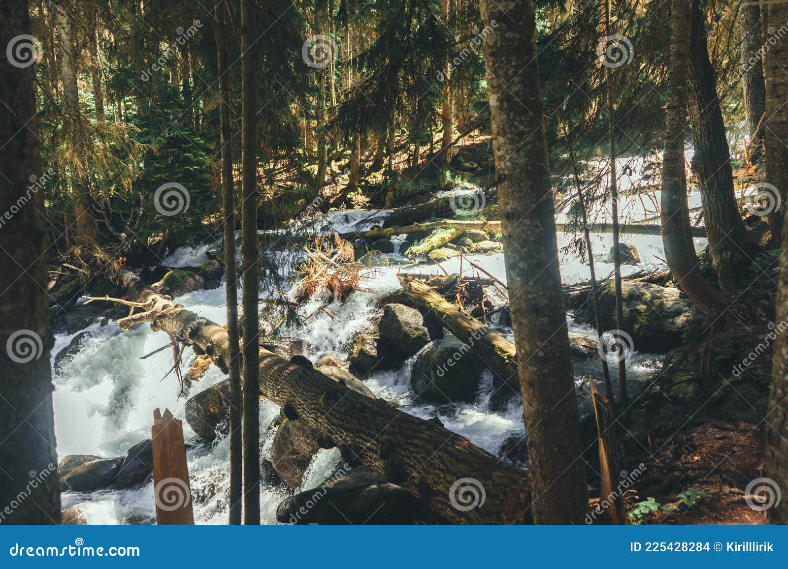 Mountain Stream in the Woods at Spring Stock Photo - Image of green ...