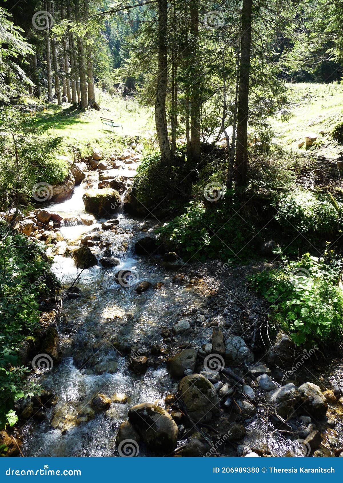 Mountain streamlet stock photo. Image of mountain, hike - 206989380