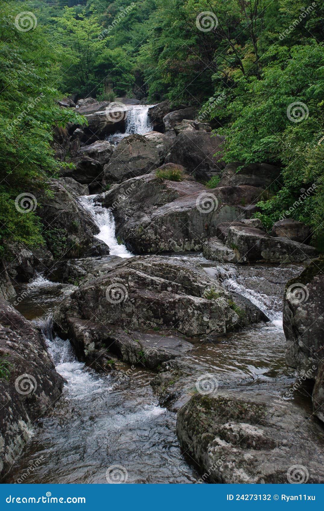Mountain Streams stock photo. Image of streams, scenic - 24273132
