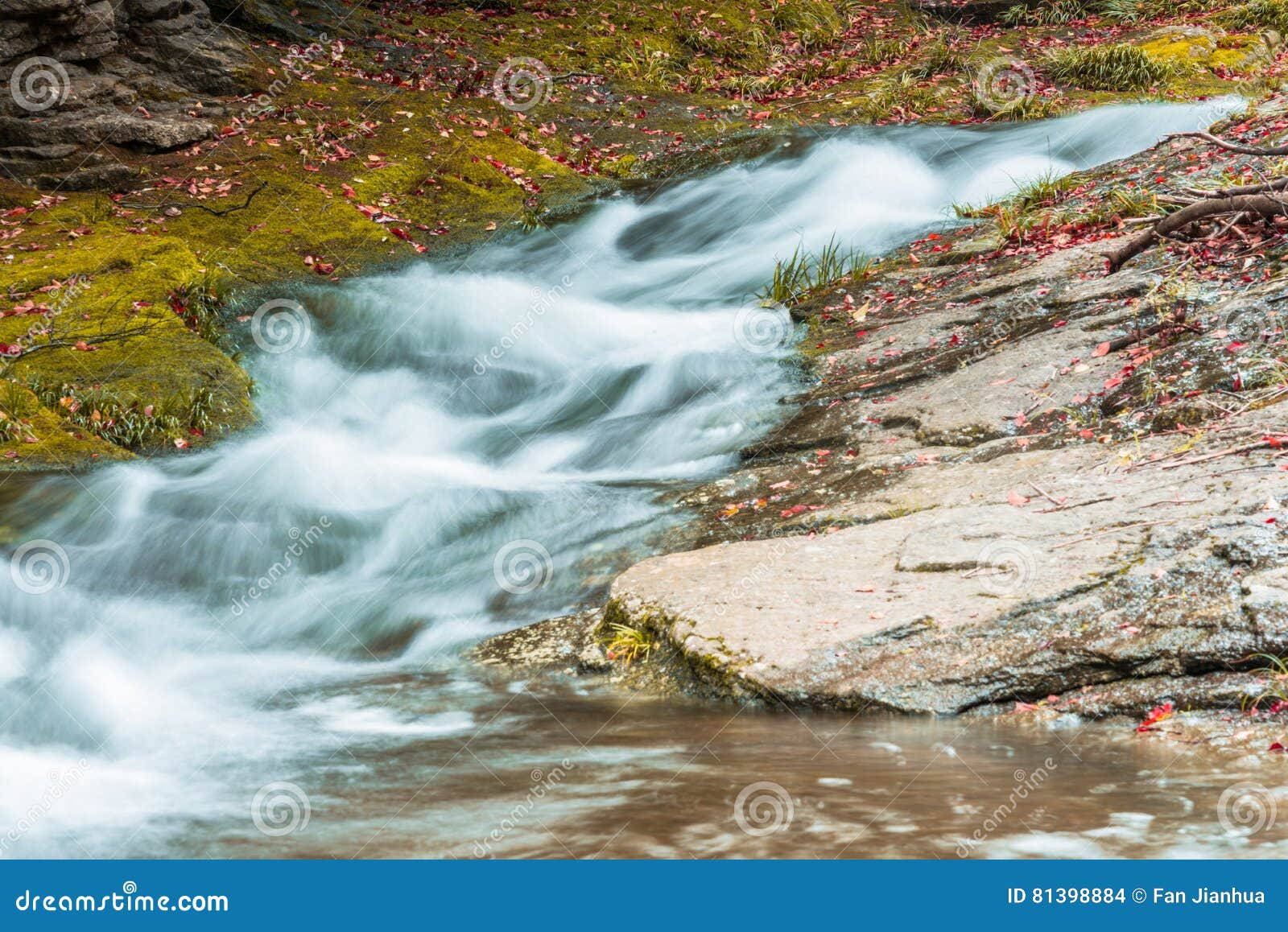 Mountain Streams Flowing Water in the Woods and Atomized Water Stock ...