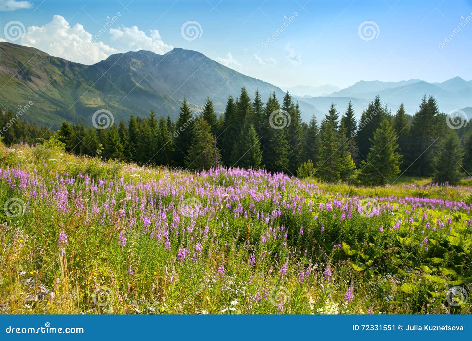 Mountain summer landscape stock image. Image of french - 72331551