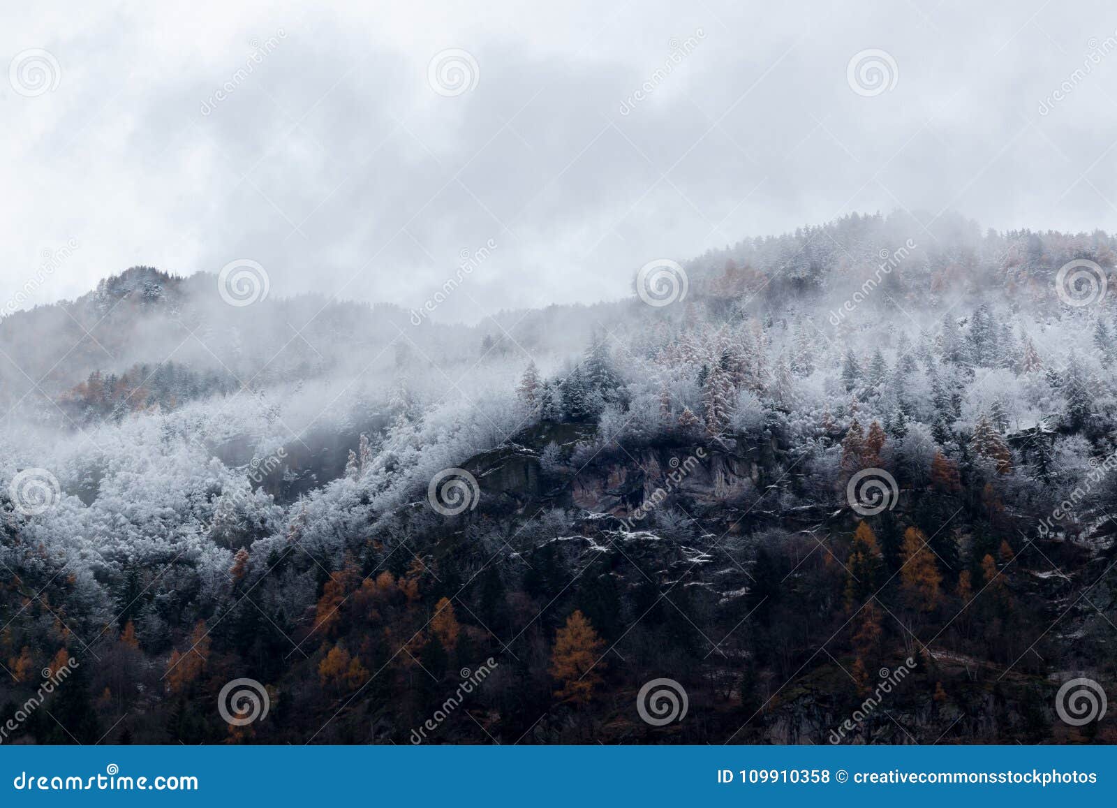 Mountain Surrounded By Trees With Snows Picture. Image: 109910358