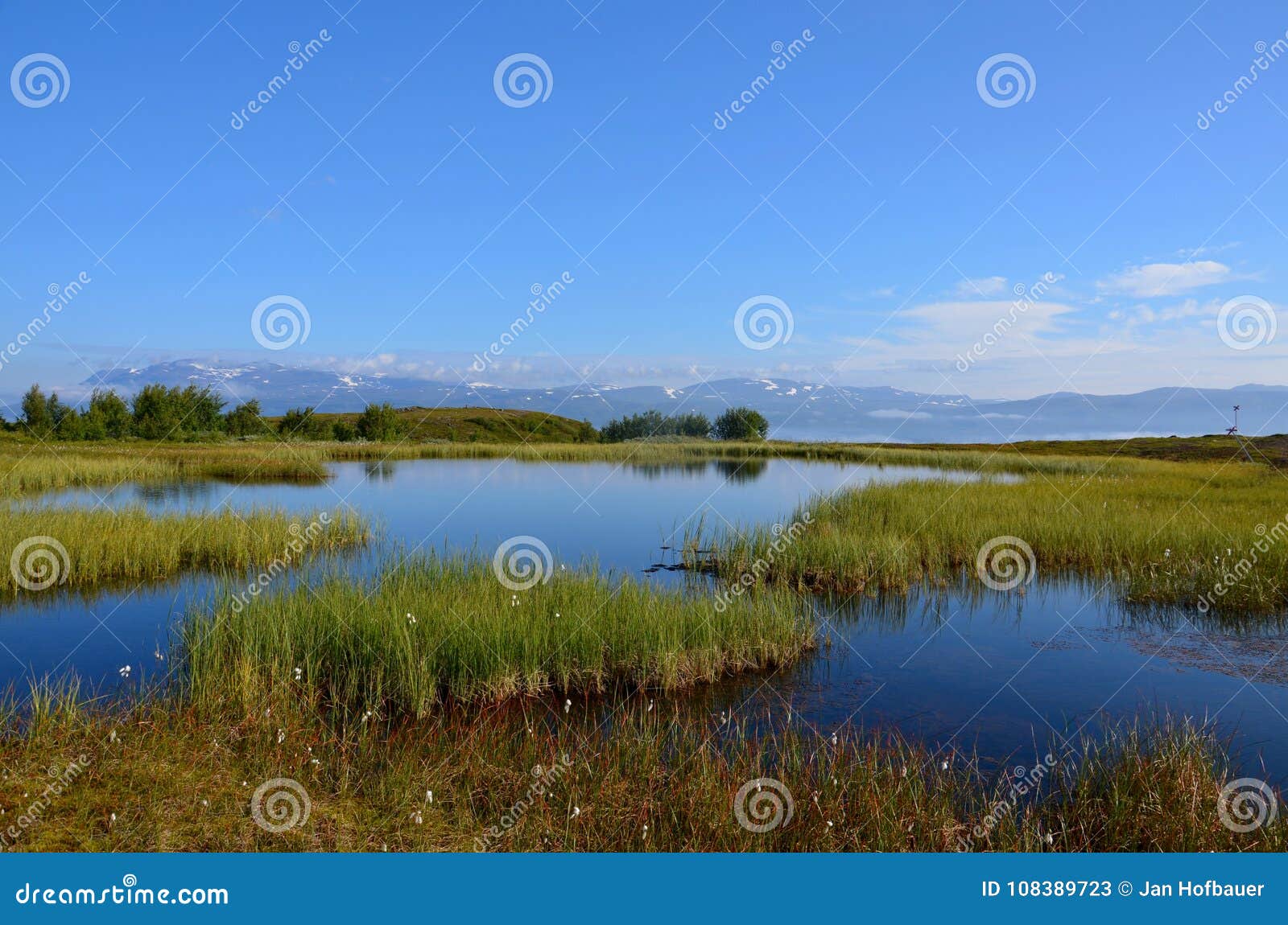 Mountain swamp stock image. Image of recreation, north - 108389723