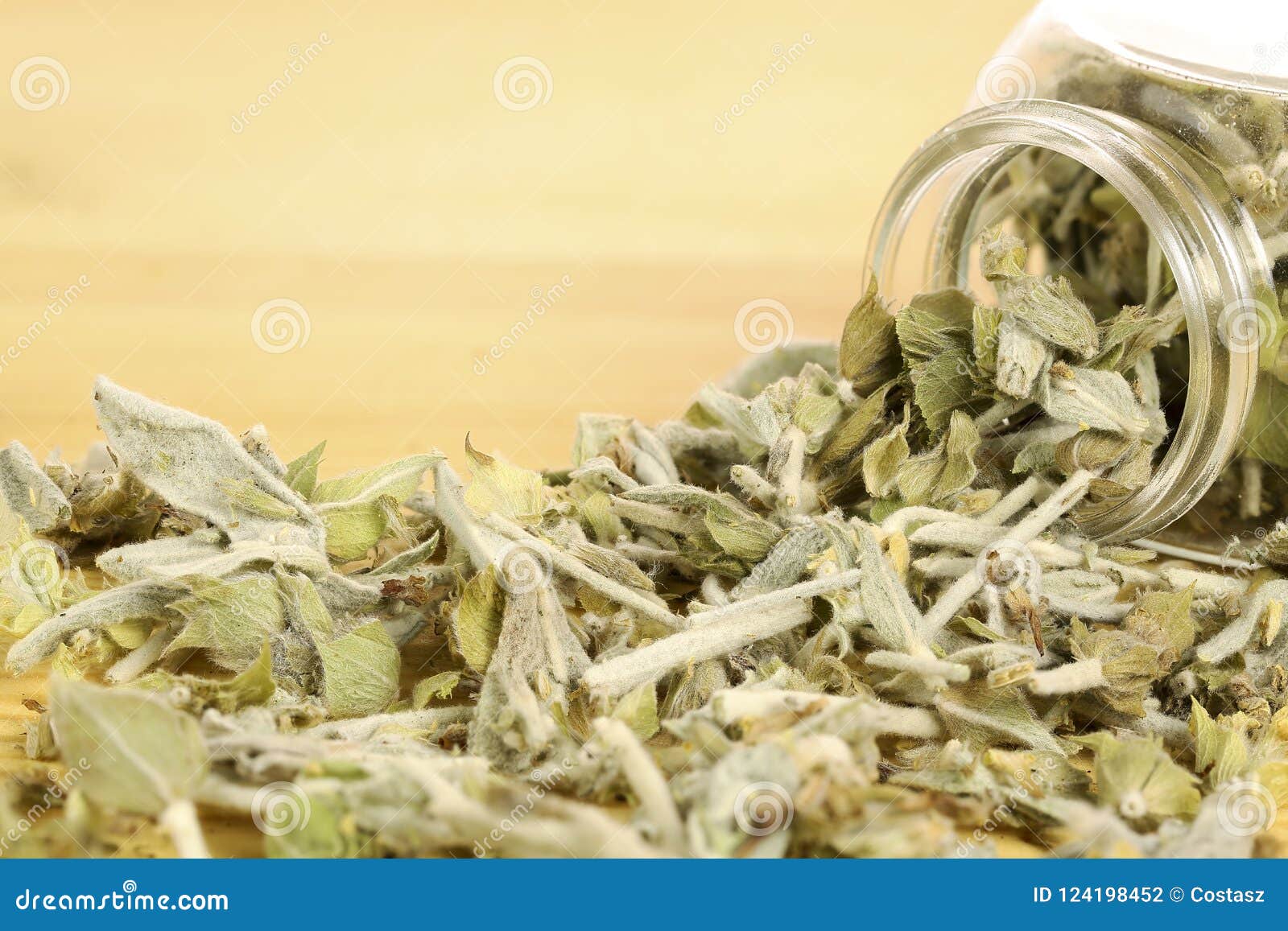 Mountain tea stock photo. Image of closeup, mountain - 124198452