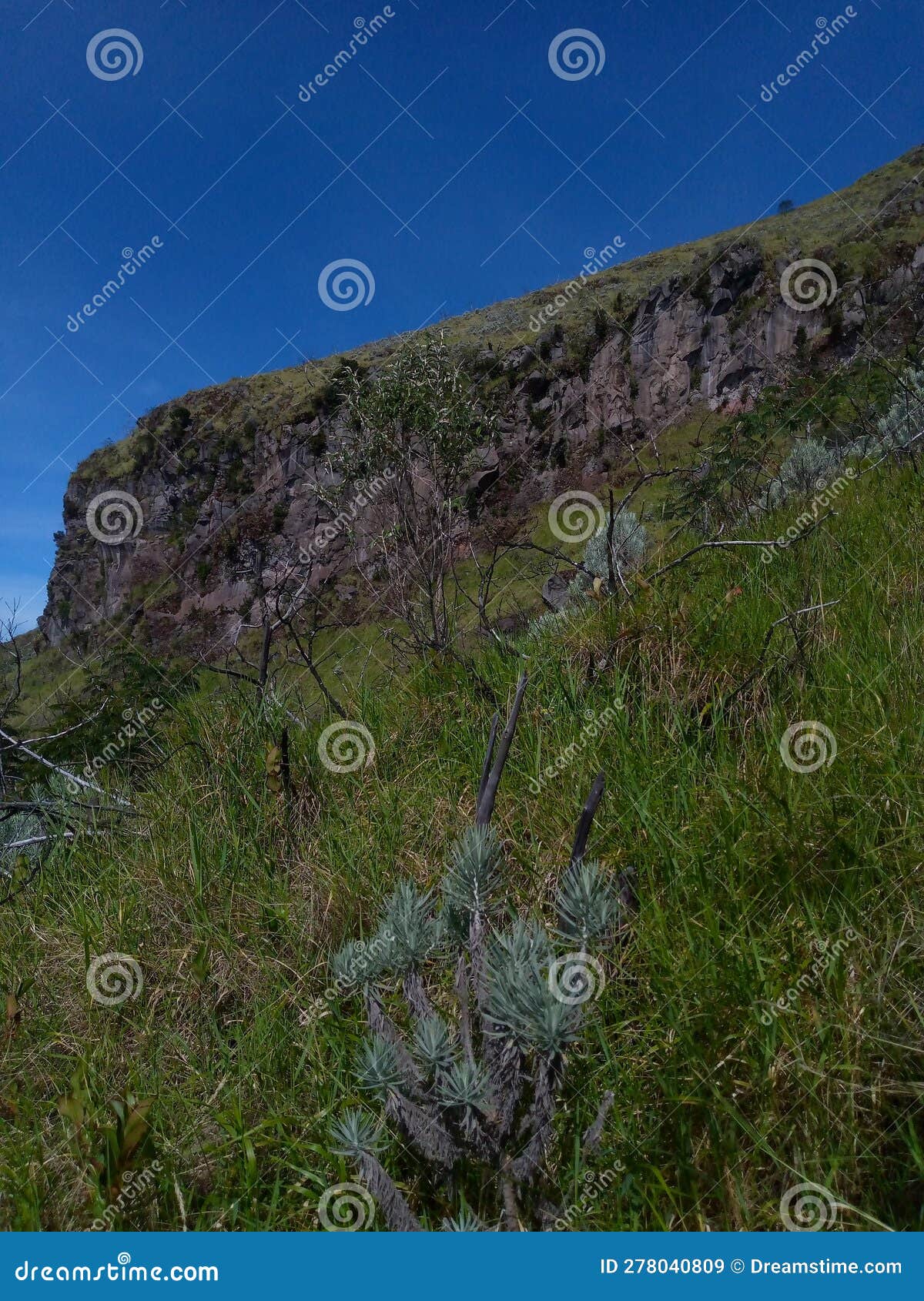 Top View Of The Stone Walls Of The Old Fort. Forti De La Reina T Stock ...