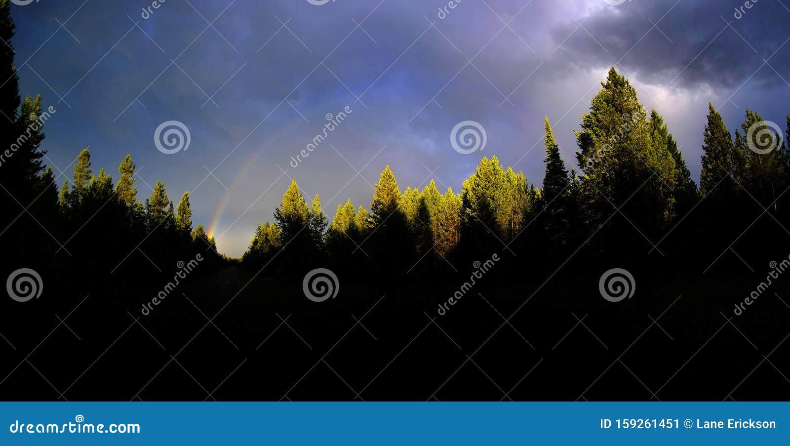 Mountain Thunderstorm Raining in Pine Forest with Rainbow Stock Image ...