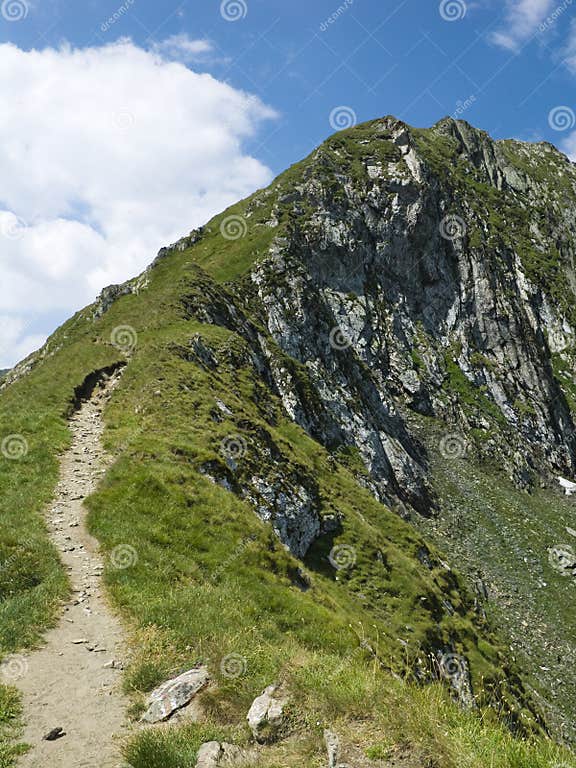Mountain Top Ridge in Romania Stock Image - Image of landscape, fagaras ...