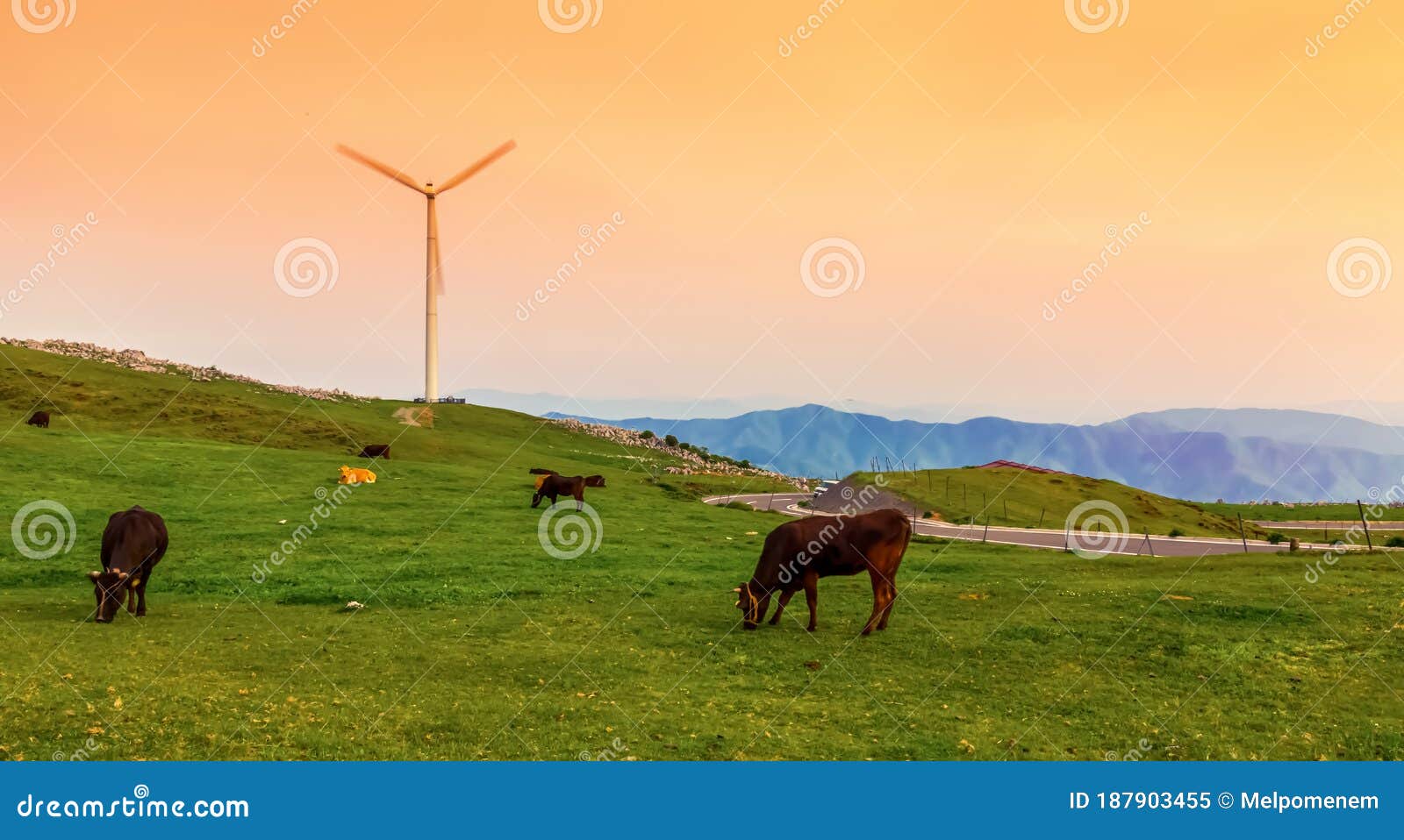 Mountain Top Windmill with Cows Grazing Stock Image - Image of dusk ...