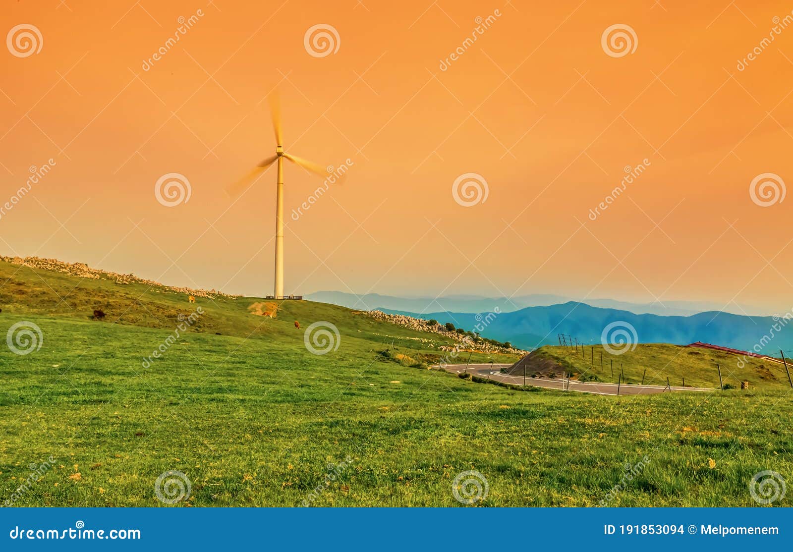 Mountain Top Windmill with Cows Grazing Stock Photo - Image of energy ...