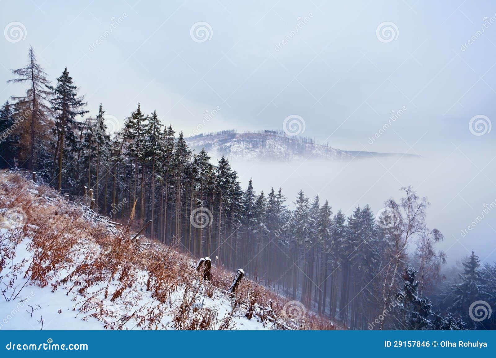 Mountain top in winter stock photo. Image of hill, forest - 29157846
