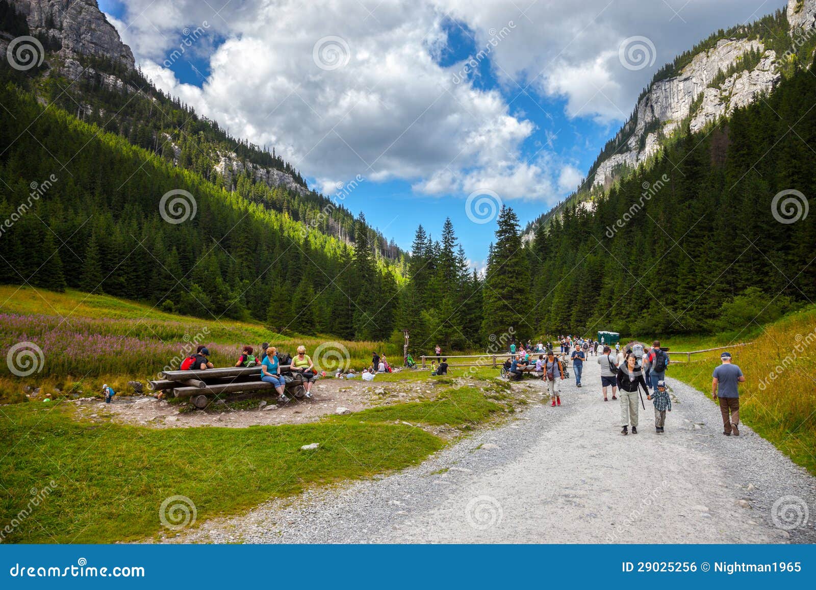 On a mountain trail editorial photo. Image of chocholowska - 29025256