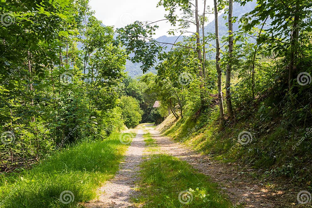 Mountain Trail on Alps in Spring Time Stock Image - Image of natural ...
