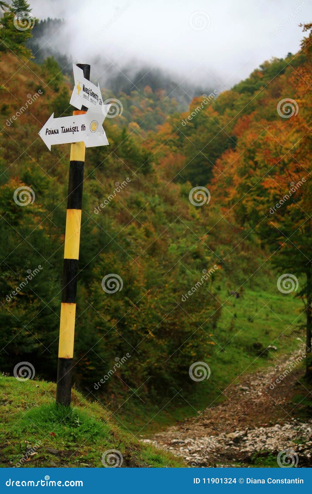 Mountain Trail Direction Sign Stock Photo - Image of carpathians ...