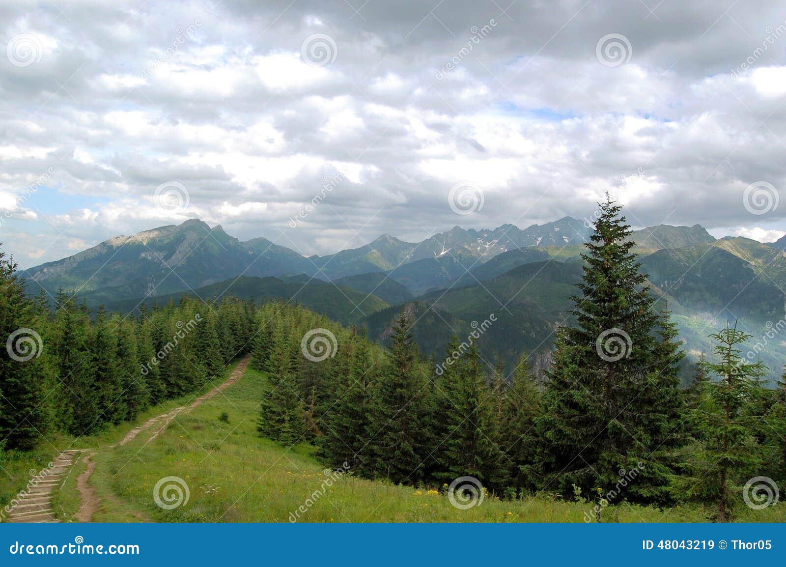 Mountain Trail at the Edge of the Forest Stock Image - Image of rocks ...