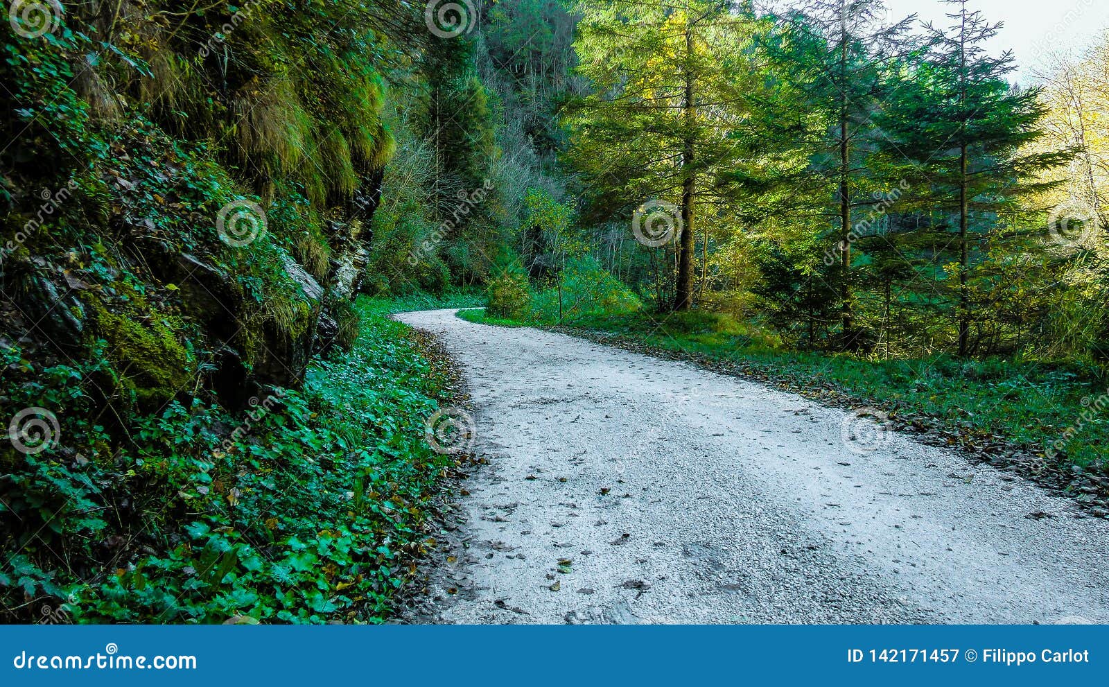 Mountain Trail on the Italian Alps Stock Image - Image of path, pines ...