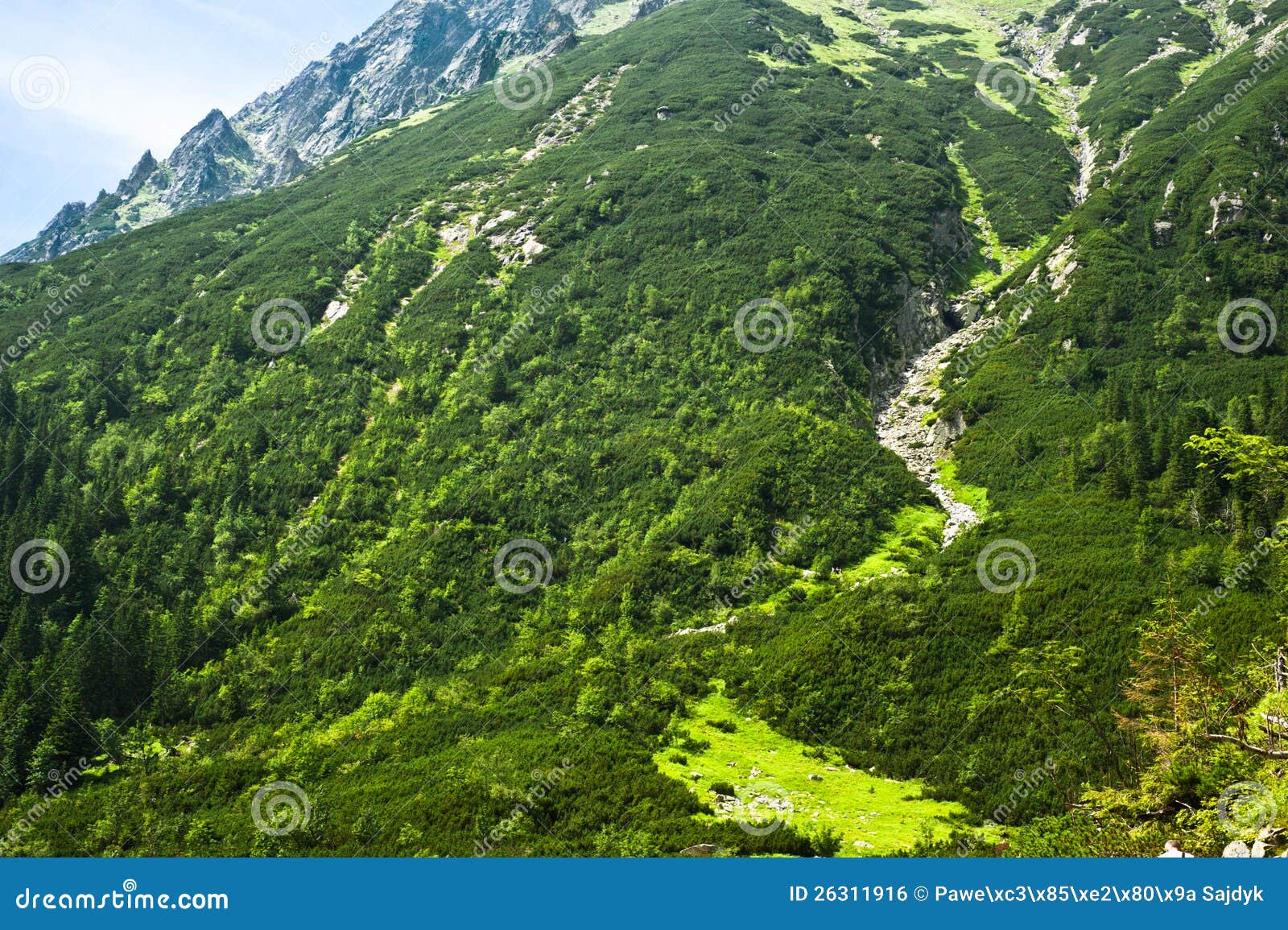 Mountain trail landscape stock photo. Image of blue, hiker - 26311916