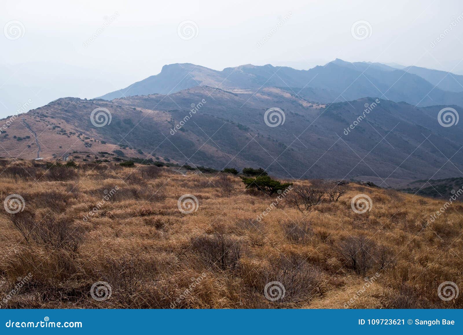 Mountain Trails and Plain on the Mountain Ridge Stock Image - Image of ...