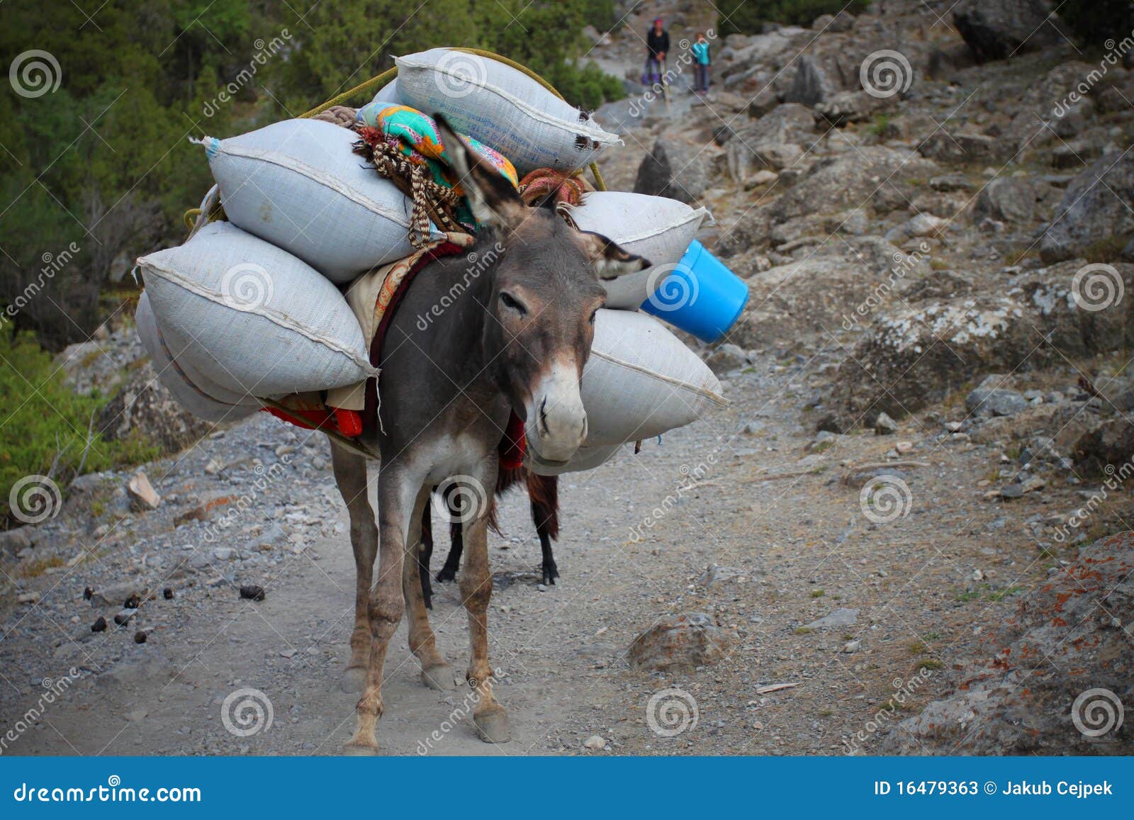 Mountain transport stock image. Image of mountain, goods - 16479363