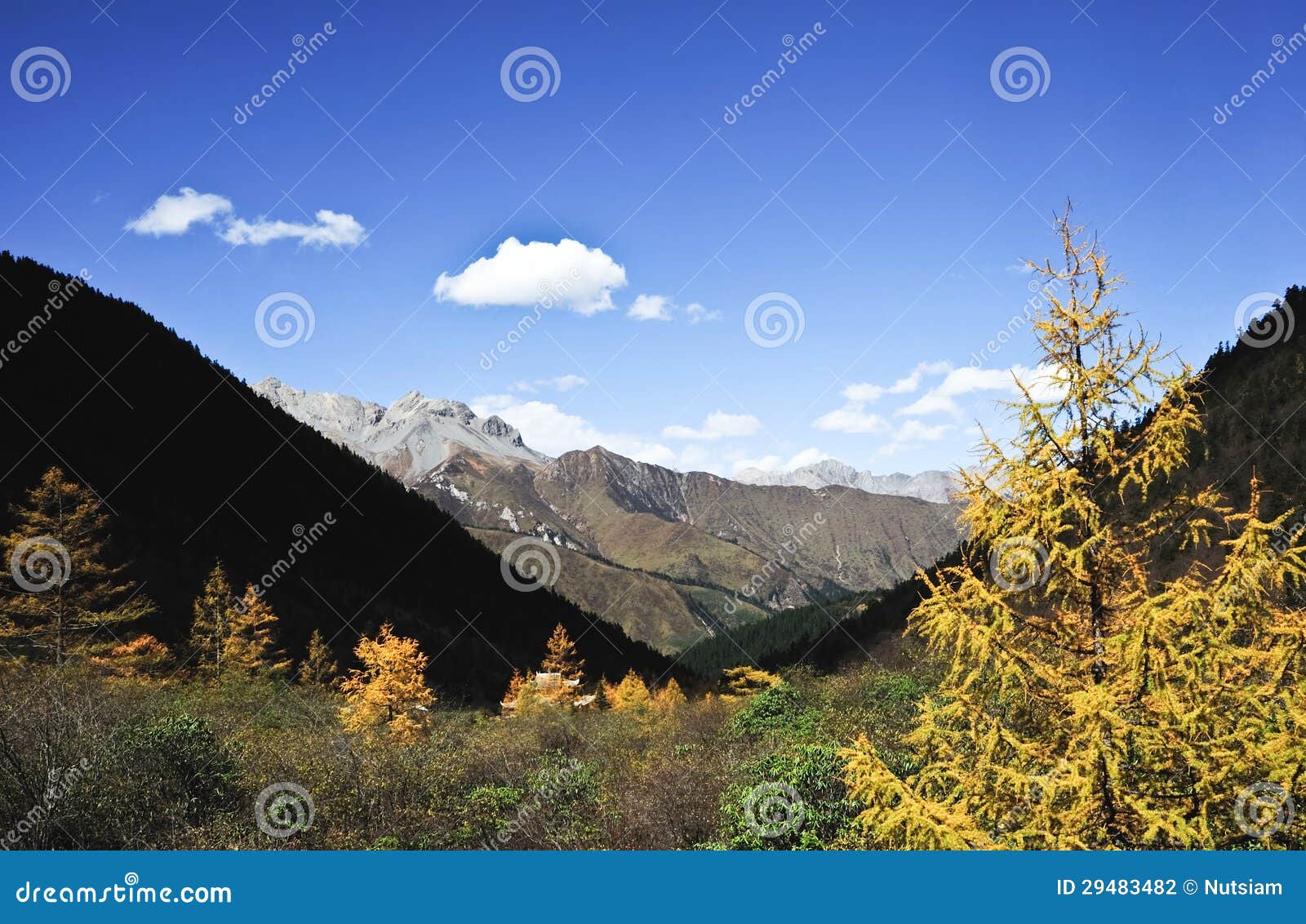 The Mountain and Tree in China Stock Photo - Image of chinese, colors ...