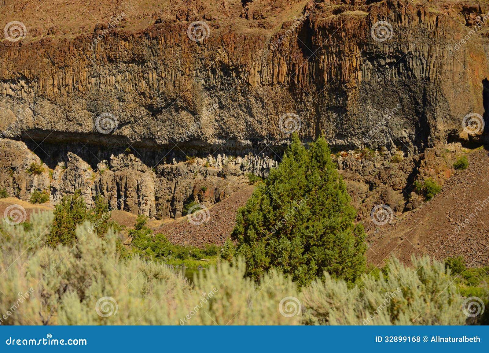 Mountain, Tree and Field in a Scenic View in Oregon Stock Photo - Image ...