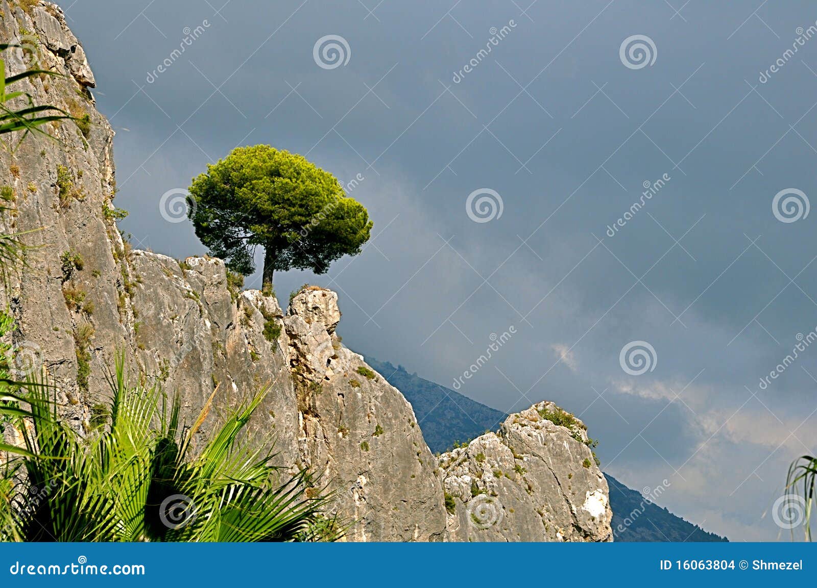Mountain Tree Green and Blue Stock Photo - Image of tree, guadalest ...