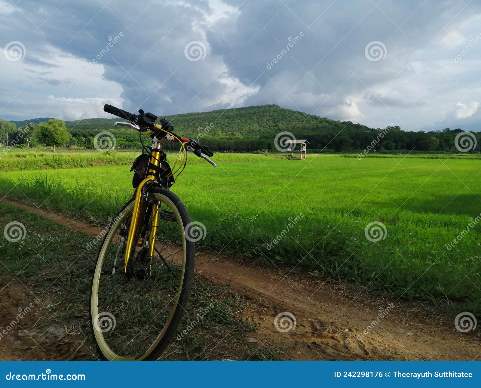 Mountain Tree Plain Sky Bike Stock Photo - Image of prairie ...