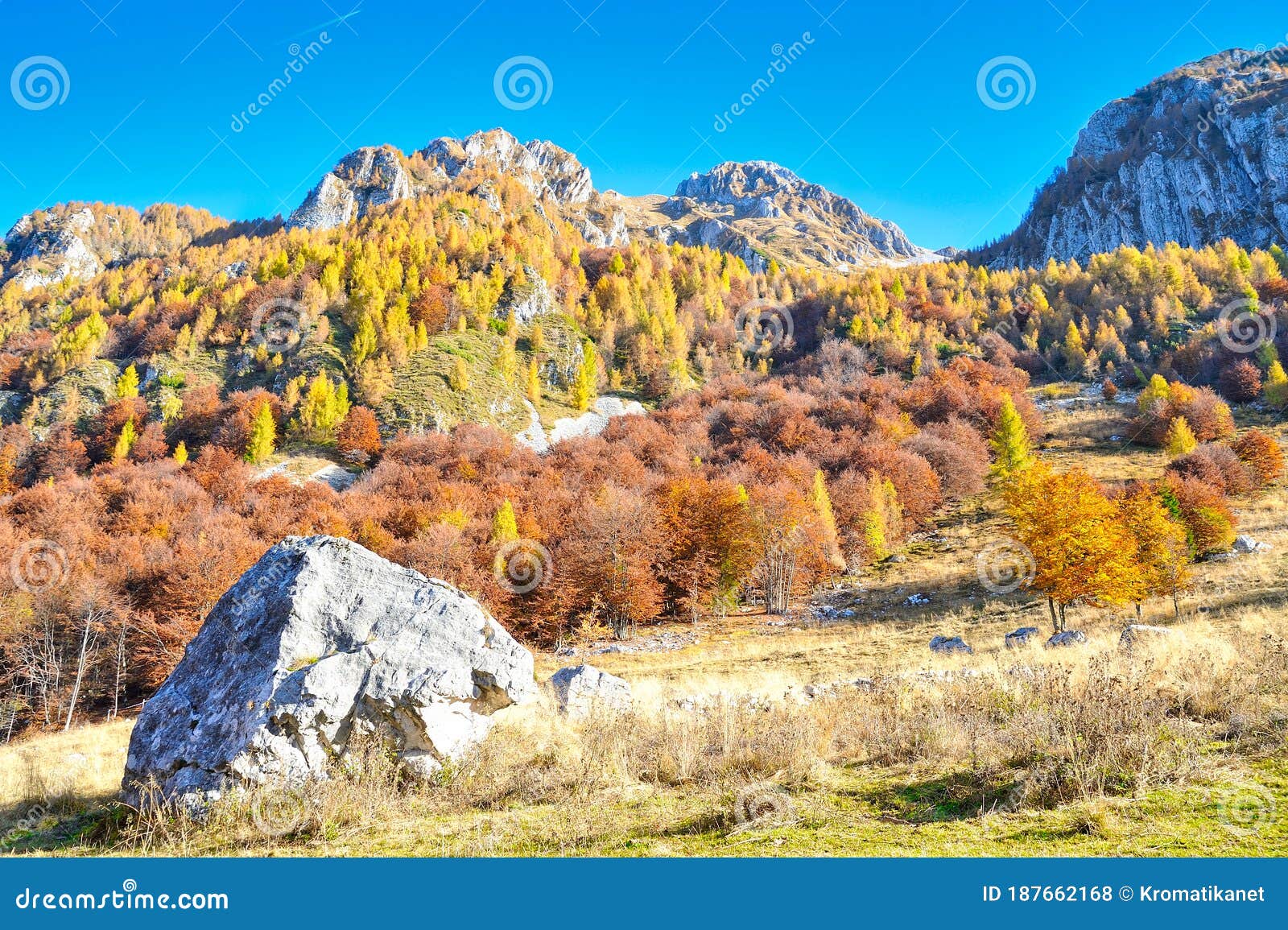 Mountain with Trees and Colorful Meadows I Stock Photo - Image of ...
