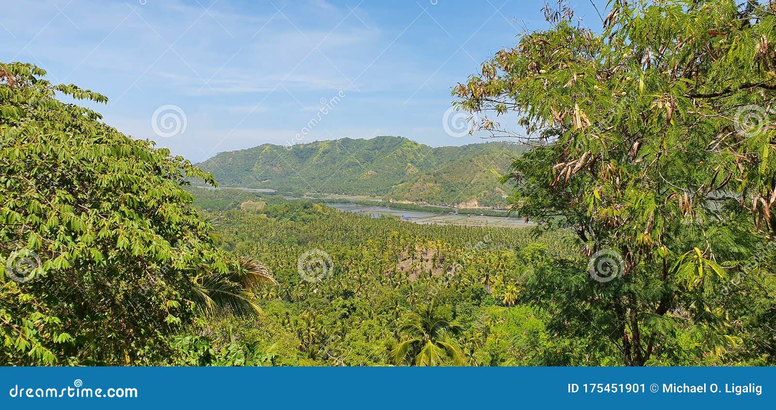 Mountain and Trees in Davao Occidental, Philippines Stock Image - Image ...