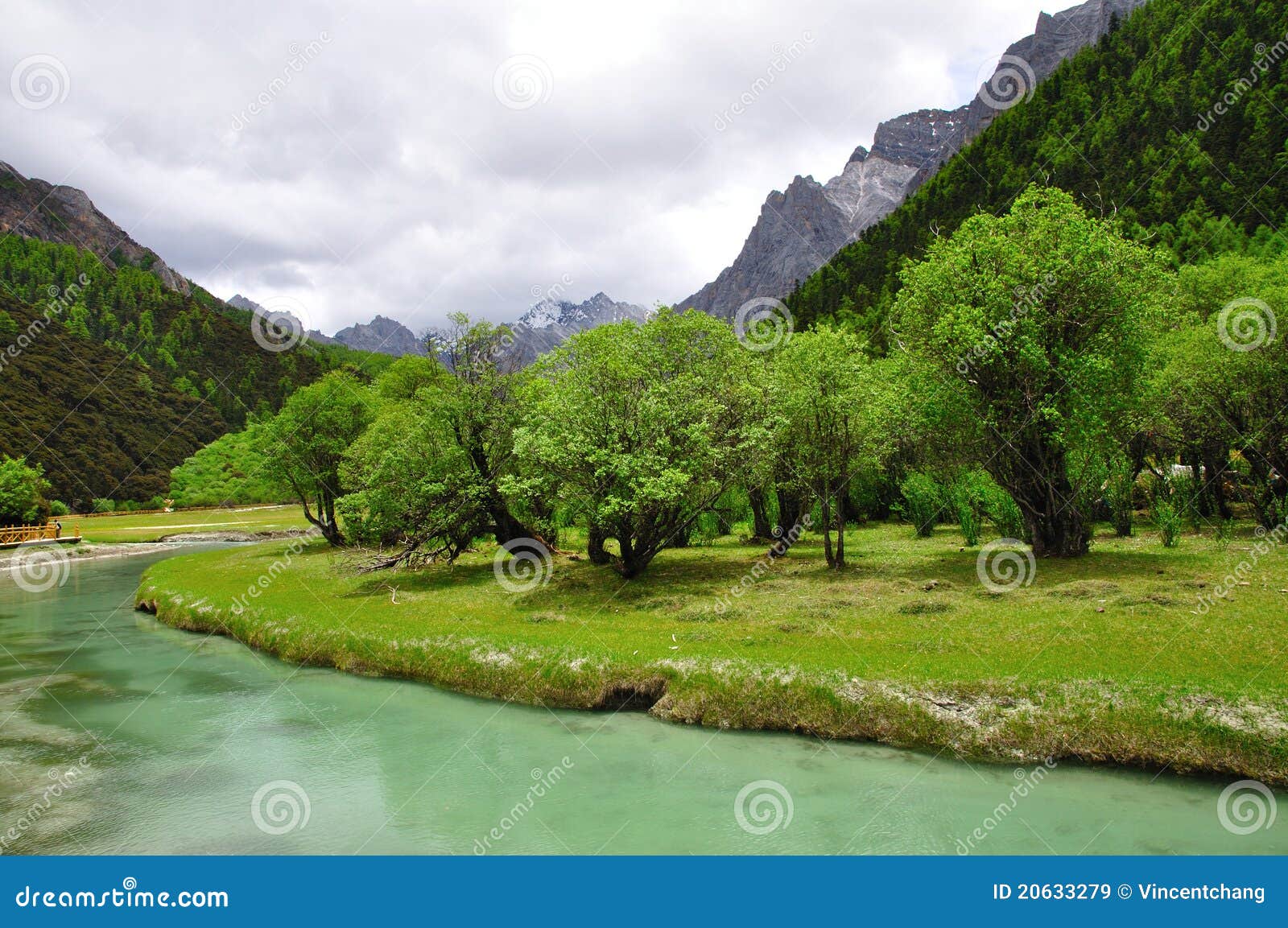 Mountain trees and River stock image. Image of river - 20633279