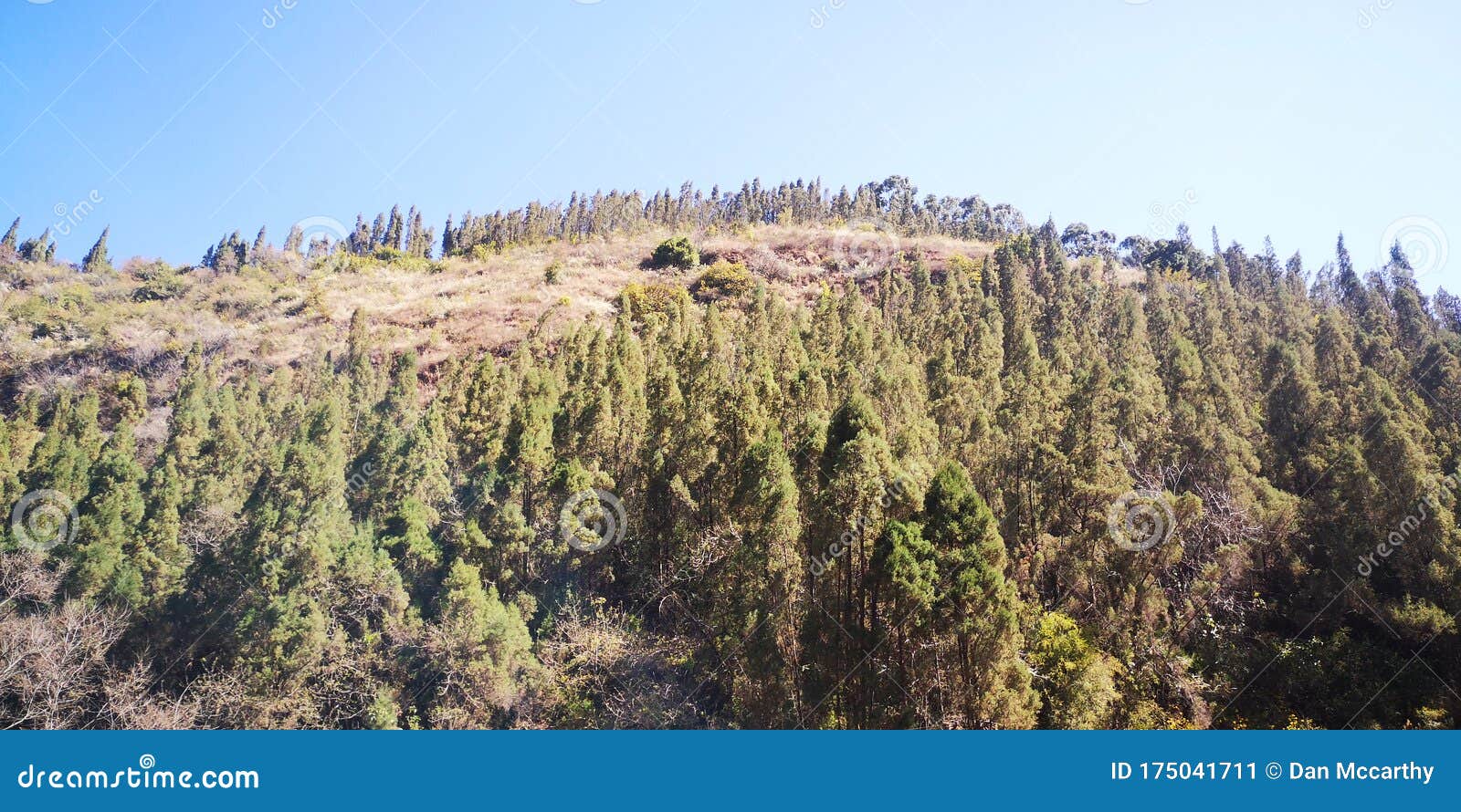 Mountain, Trees and Sky in China Stock Image - Image of china, mountain ...