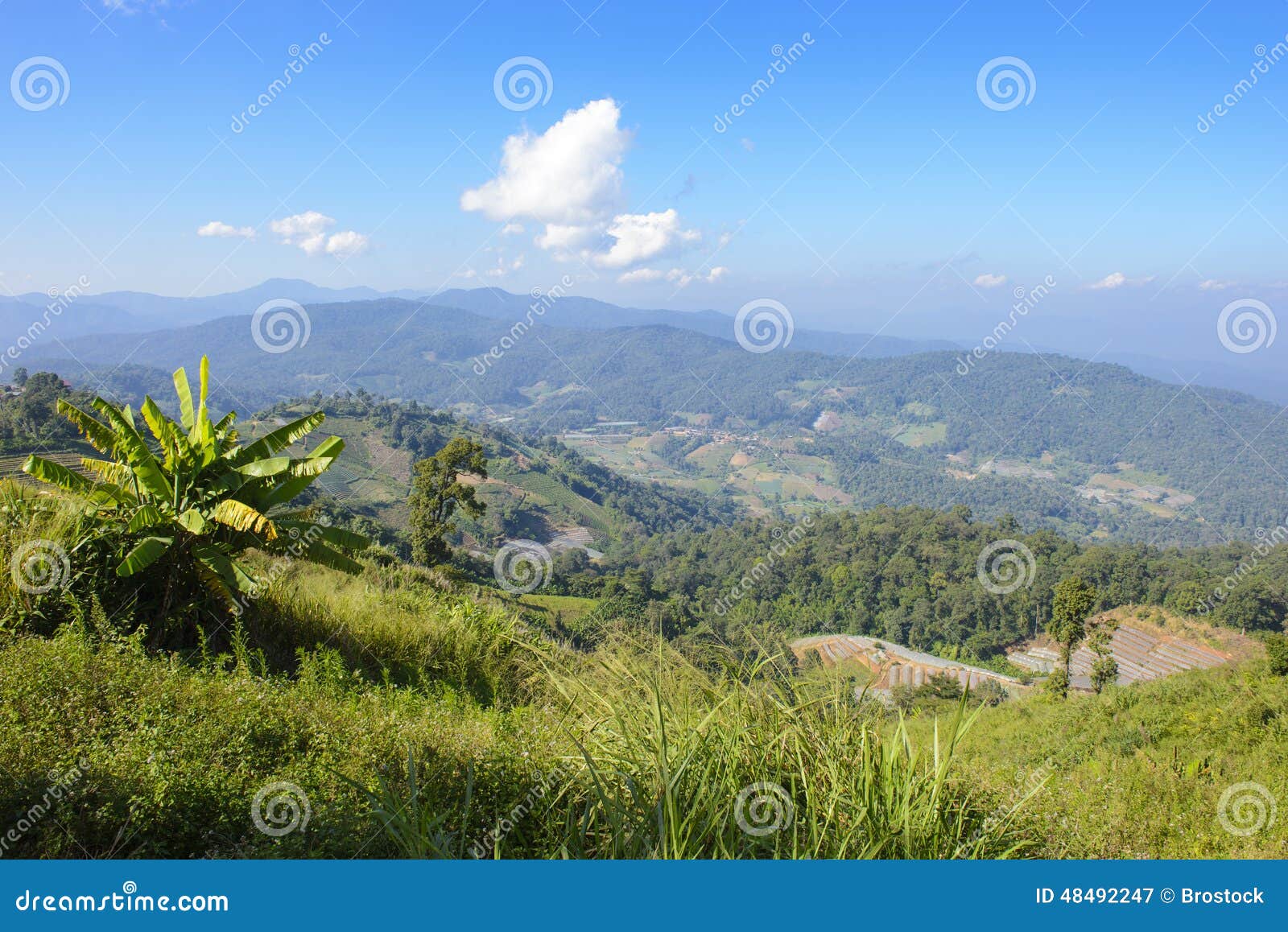 Mountain in the Tropical Forest Stock Image - Image of southeast, hill ...