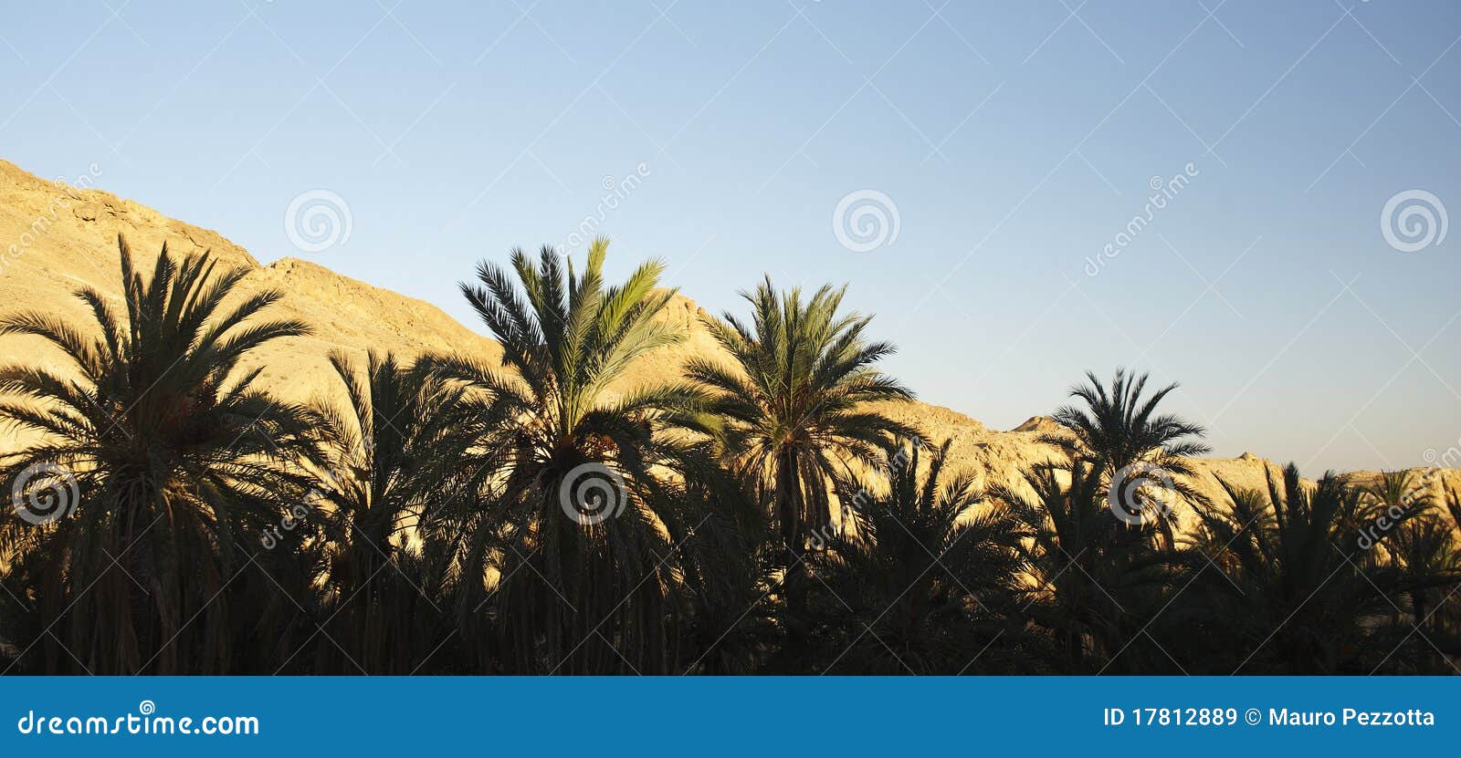 Mountain Tunisian oasis stock image. Image of trees, africa - 17812889