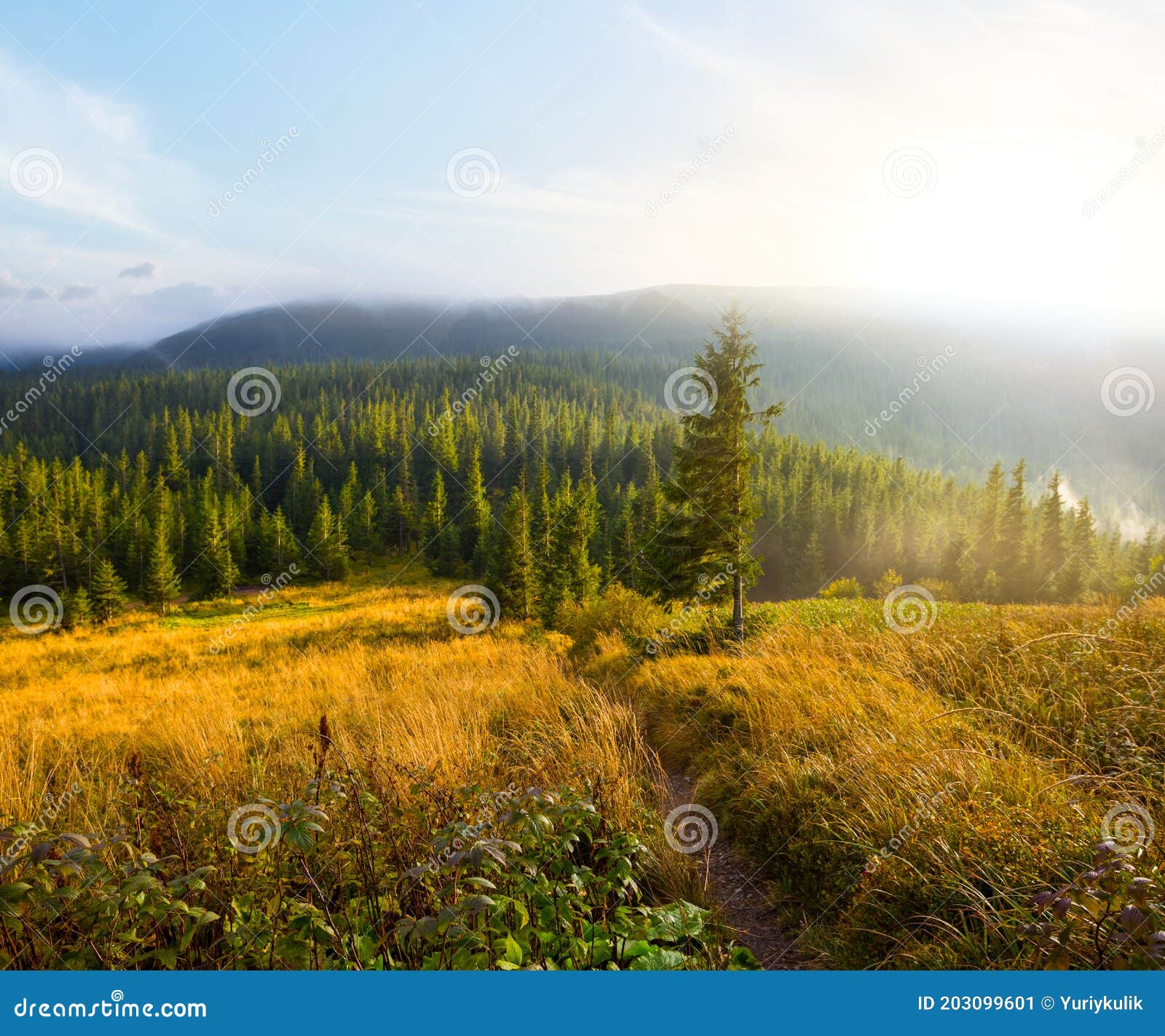 Mountain Valley with Grassfield Stock Image - Image of rock, slope ...