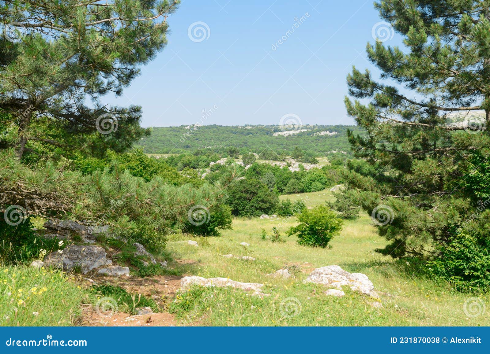 Mountain Valley with Green Forests and Rocky Land Stock Photo - Image ...